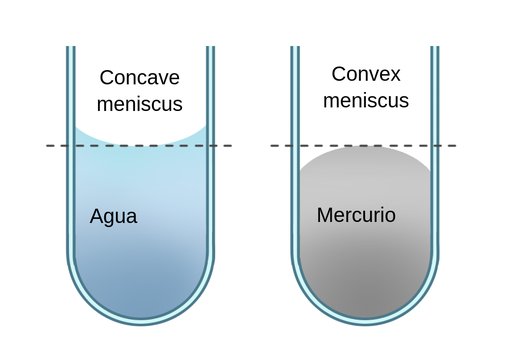 Menisco - Labster Theory