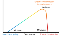 Growth temperature - Labster Theory