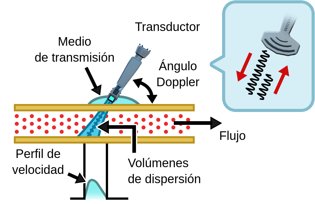 Ecocardiografía - Labster