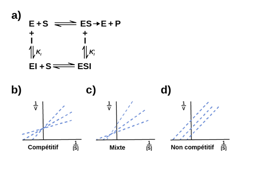 Types Of Elisa Labster Theory