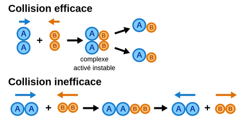 Le modèle des collisions - Labster
