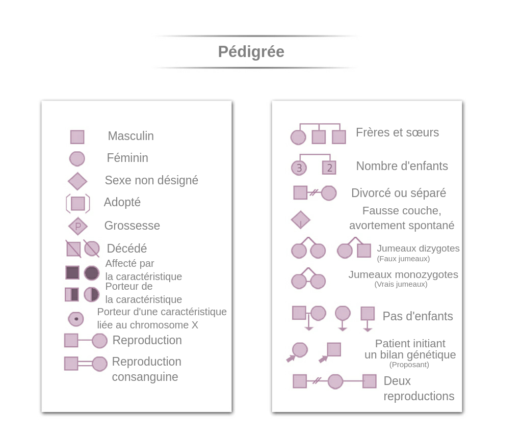 L'analyse du pédigrée - Labster Theory