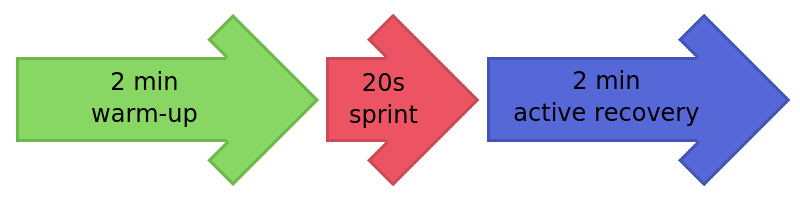 Wingate Sprint - Labster Theory