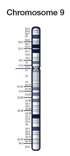Duplication of 9p - Labster