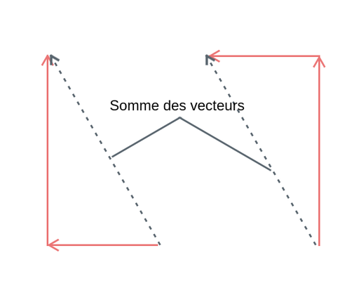 La somme vectorielle - Labster