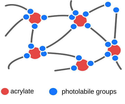 Radical crosslinking - Labster