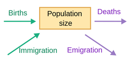 Population size - Labster