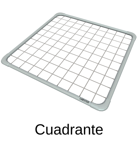 Cuadrante - Labster