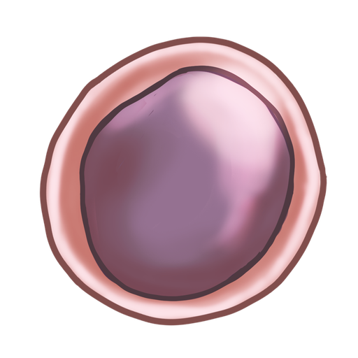 Lymphocytes - Labster