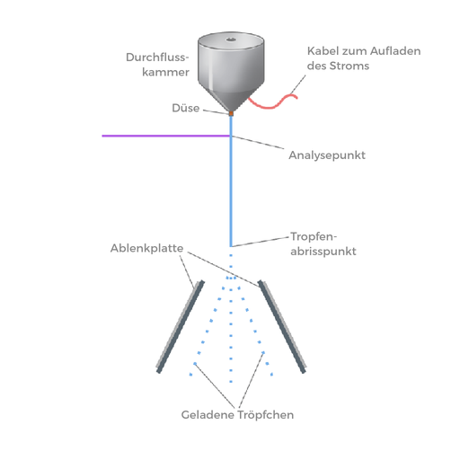 Elektrostatische Sortierung - Labster Theory