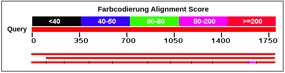 BLAST-Analyse - Labster