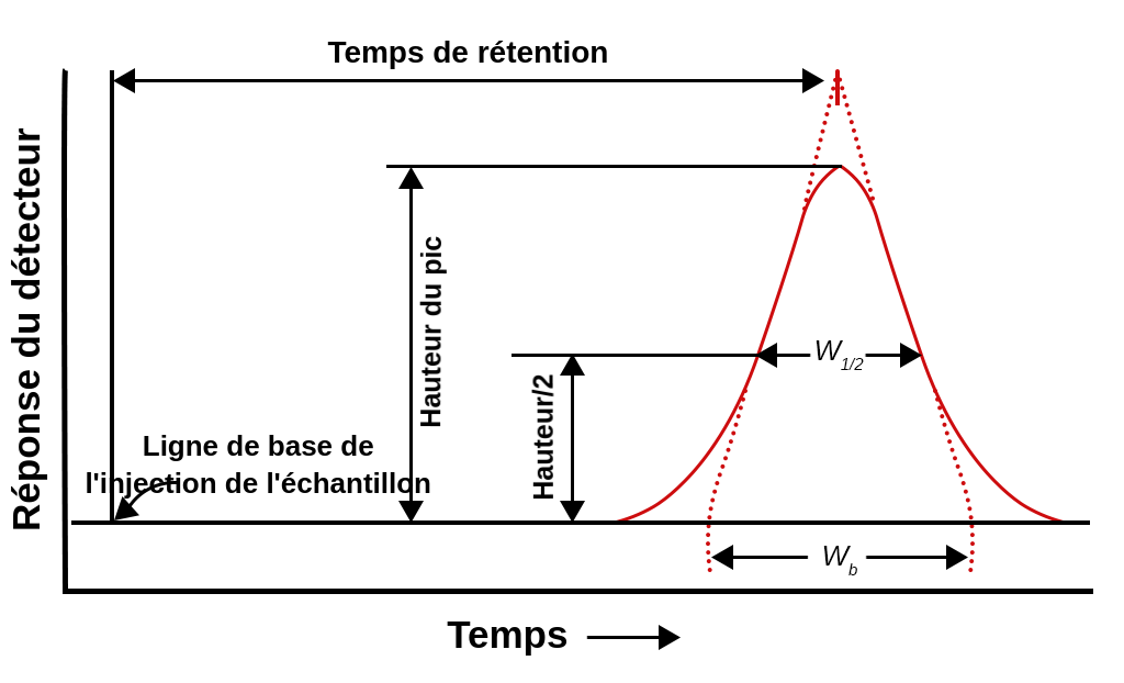 Les chromatogrammes - Labster