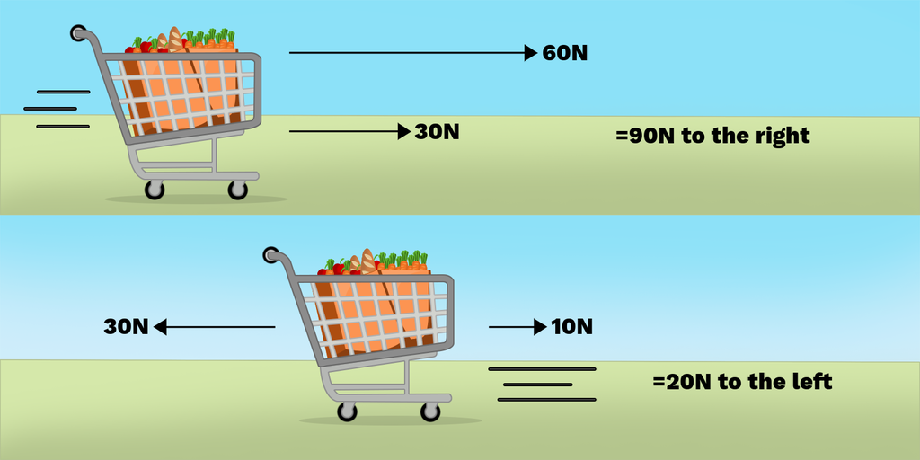 Force And Net Force Labster