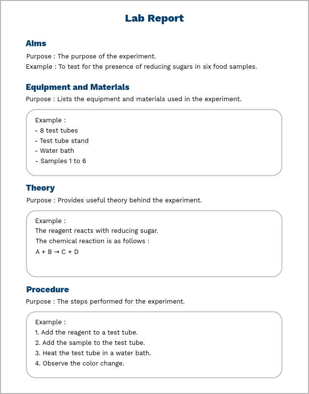 Lab Report Example