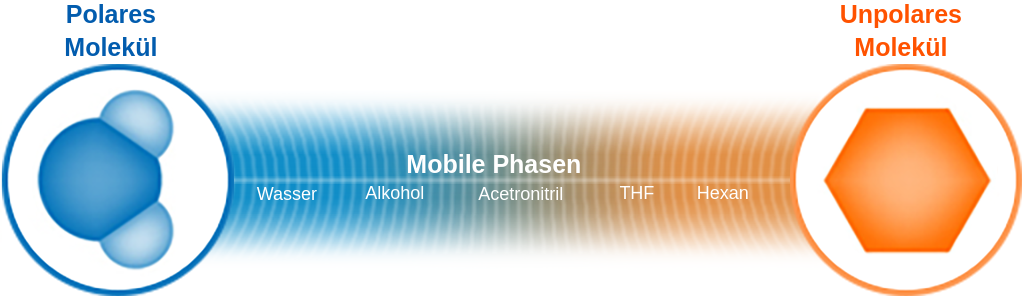 Mobile Phase - Labster