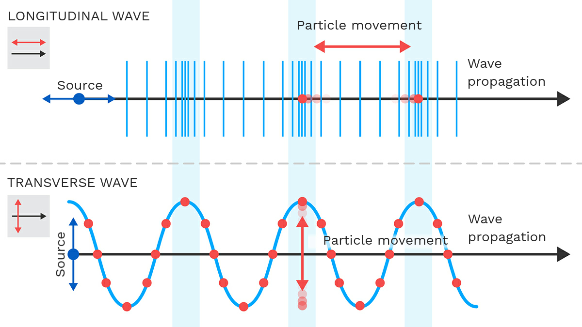 Longitudinal And Transverse Labster
